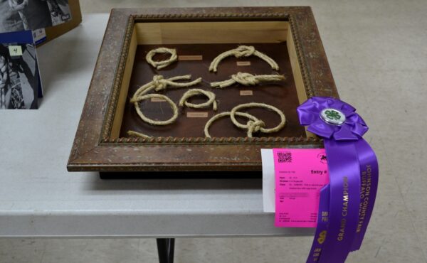 2025 Johnson County Fair Results – Sheridan Media