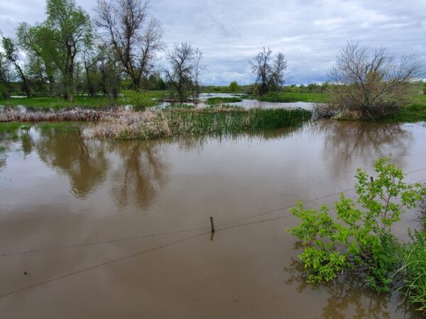 Flooding Receding In Some Areas – Sheridan Media
