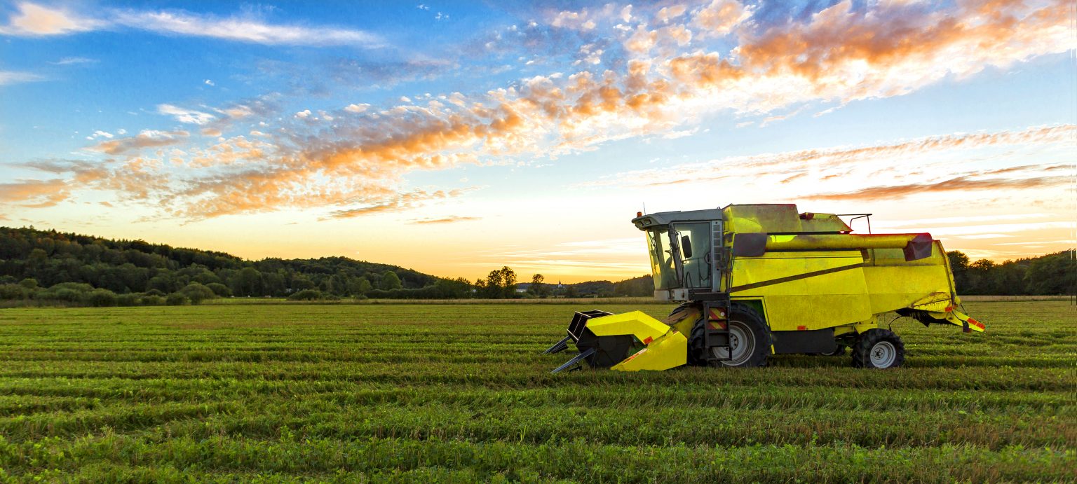 Wyoming Agriculture in the Classroom teaches students about the ...