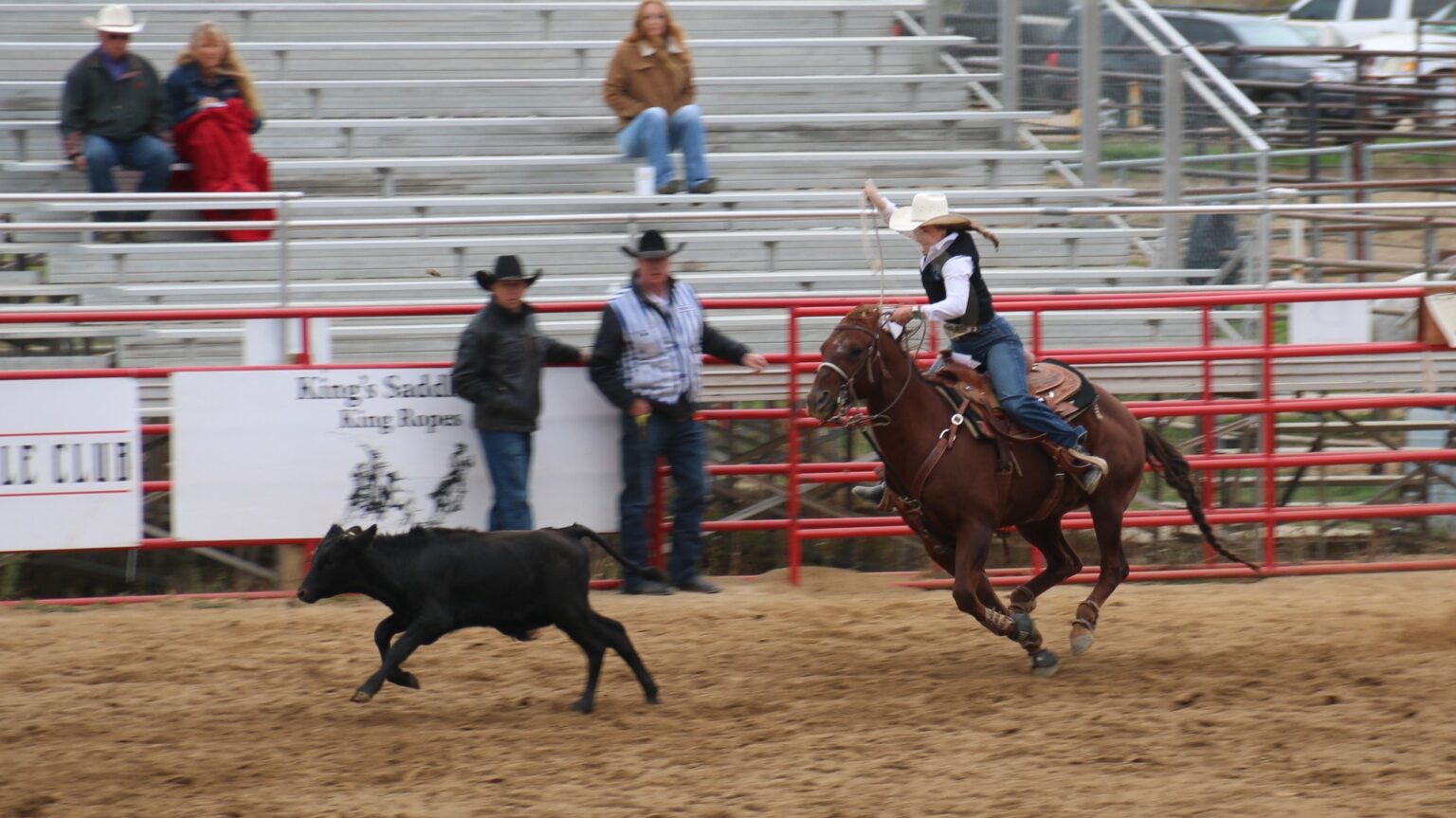 Three Sheridan College Rodeo Competitors Place In Top 6 At 2024 ...