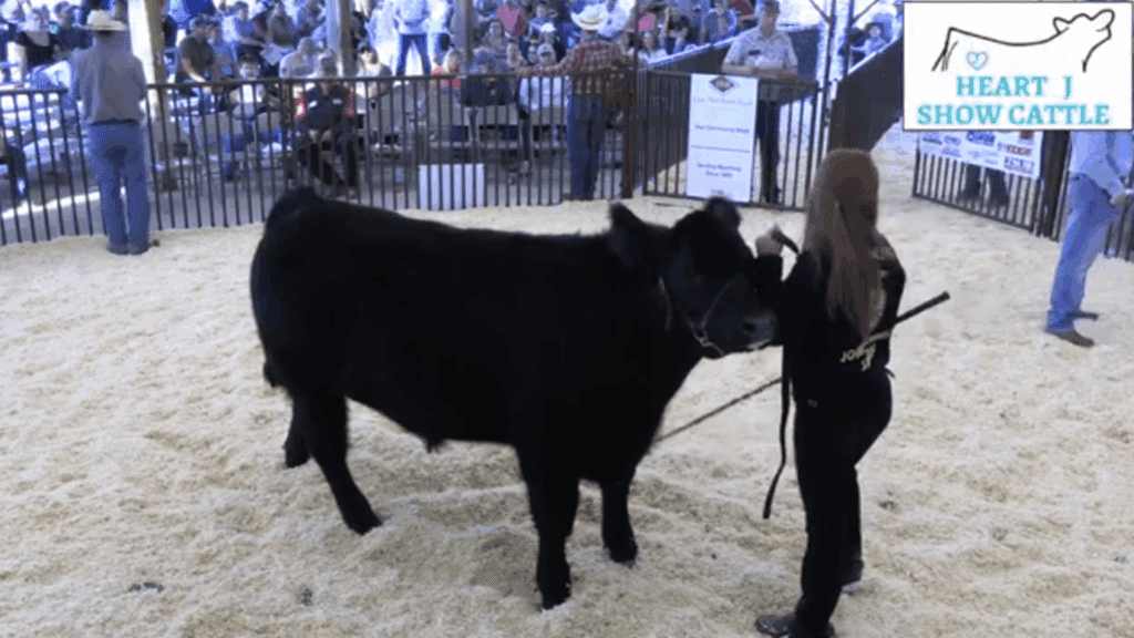 SHERIDAN COUNTY FAIR – Sheridan Media