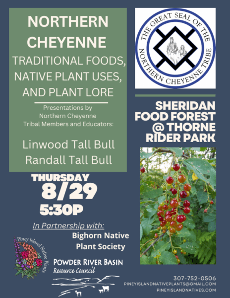 Sheridan Food Forest Event to Feature Northern Cheyenne Native Plants ...