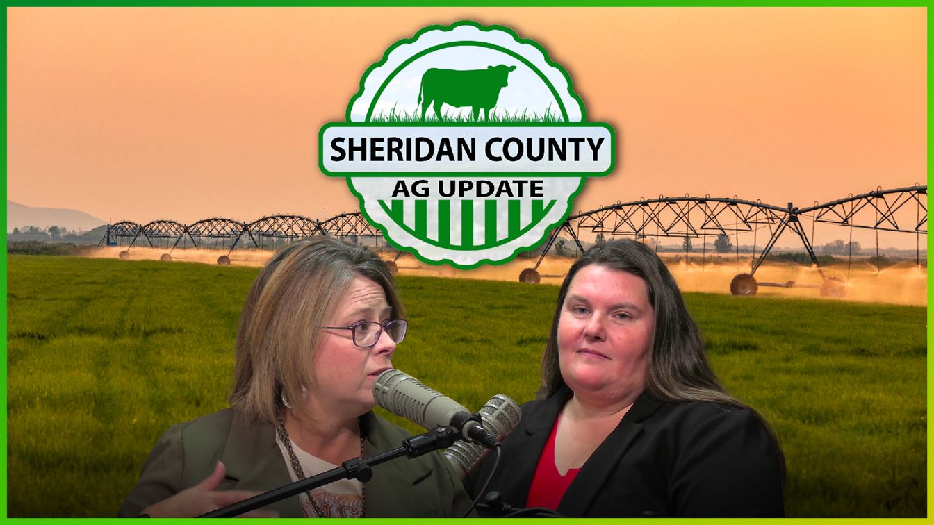 Sheridan County Ag Update With Ashley Basset Sheridan Media