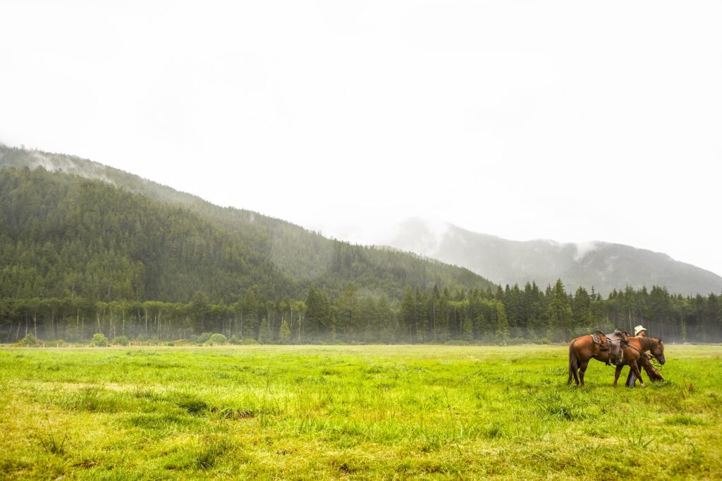 SCLT works to improve and conserve the land residents love – Sheridan Media