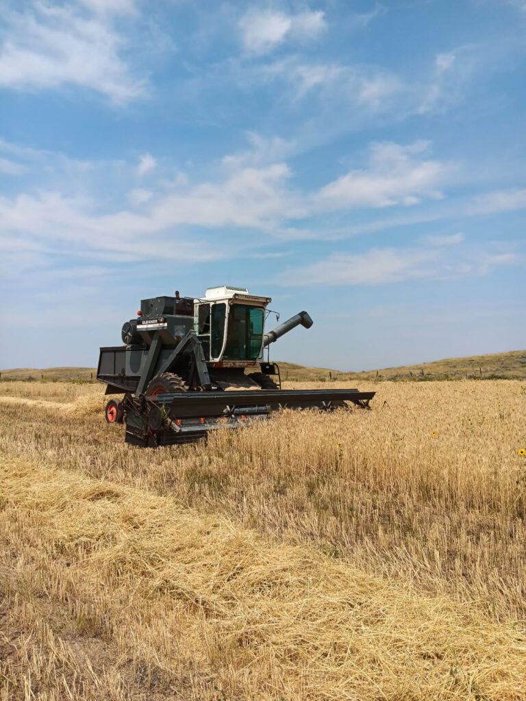 Local Sourdough Bread Baker Incorporates Locally Grown Flour – Sheridan ...