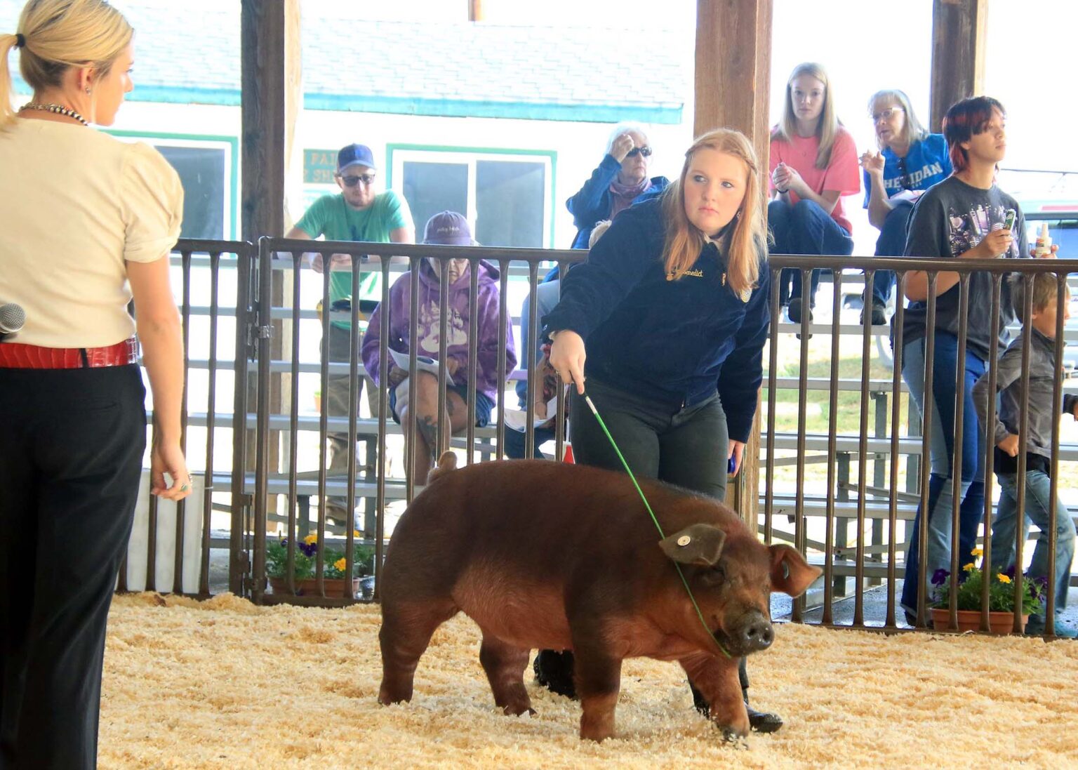 2025 Sheridan Swine Showmanship – Sheridan Media
