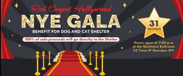 Shelter’s Annual New Year’s Gala Promises Night of Glamour – Sheridan Media