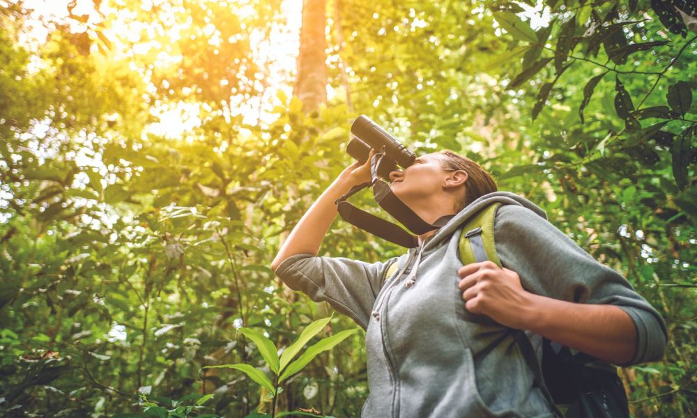 Bird Walk at Fort Kearny – Sheridan Media